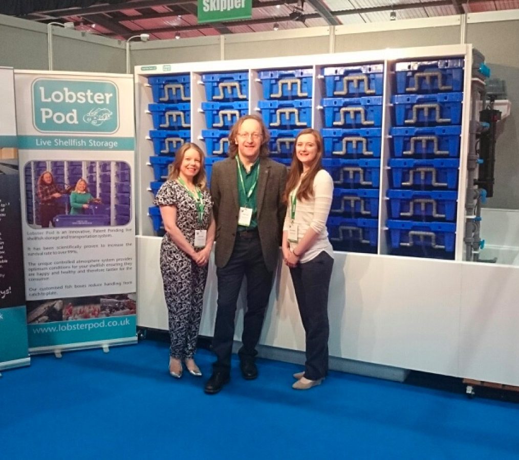 An Experts Guide on How to set up your Lobster Pod from Todd Fish Tech ...