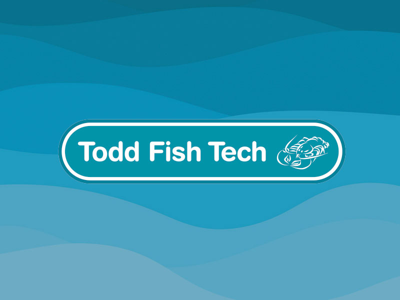 Our Lobster Tanks are for Crabs and Prawns Too! - Todd Fish Tech