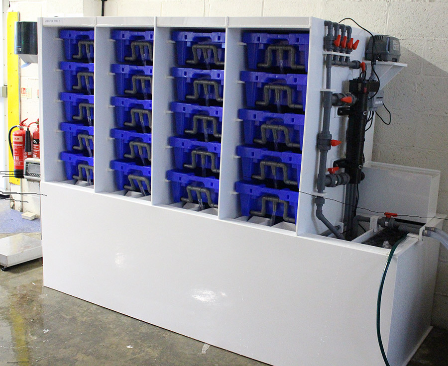 Best Selling Lobster Pod Shellfish Tank - Todd Fish Tech