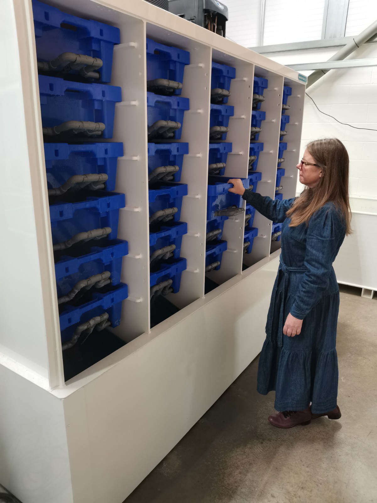 How to load your Lobster Pod - Todd Fish Tech